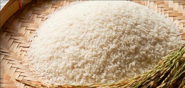 Gabon: arrivano prime varietà di riso “made in Gabon” - Africa e Affari