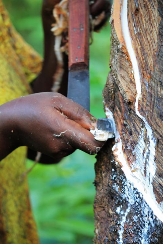 Costa d'Avorio: inaugurato il più grande stabilimento produttivo di ...
