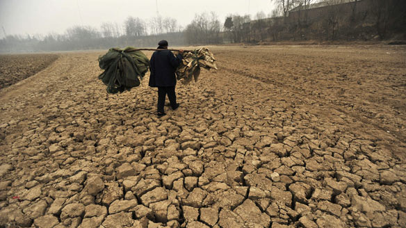 Africa: Ifad, fondi per resilienza climatica in 7 Paesi - Africa e Affari